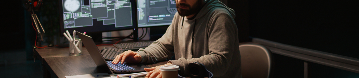 Bespoke Software Development by Develux Experts